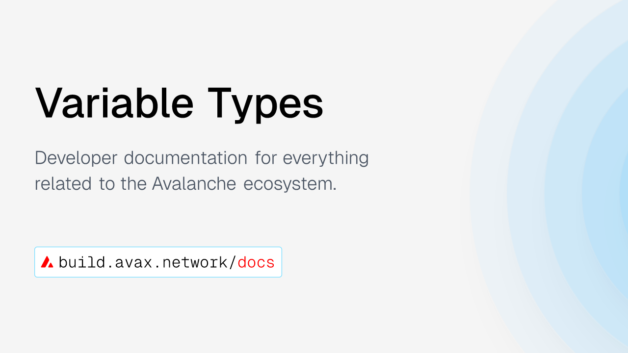 Variable Types | Avalanche Builder Hub